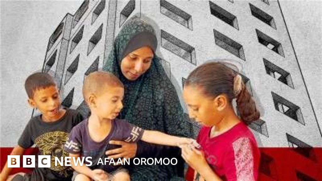 Gamoo sodaa waraanan marfame keessatti maatiin guyyuun buqqa'aa ...
