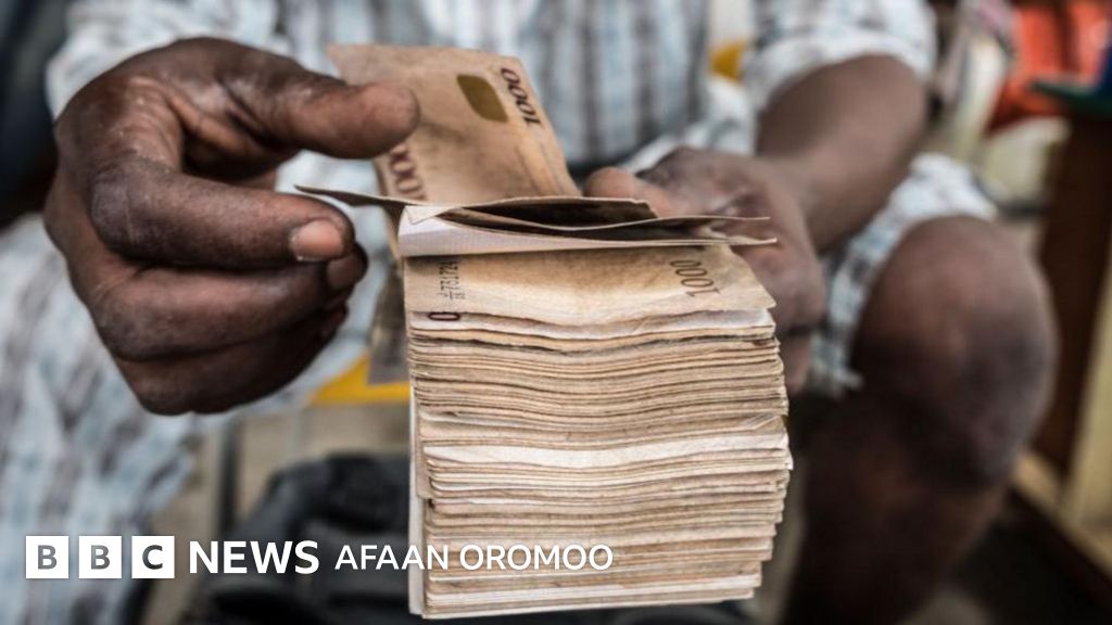 Biyya maallaqa cidharratti bittimsuu seeraan dhorkite, warri bittimsan ...