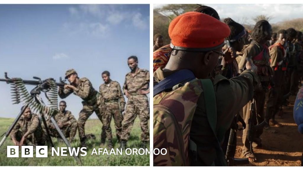 'Ammas mariitti deebi'uu malee furmaanni biraa hin jiraatu ...