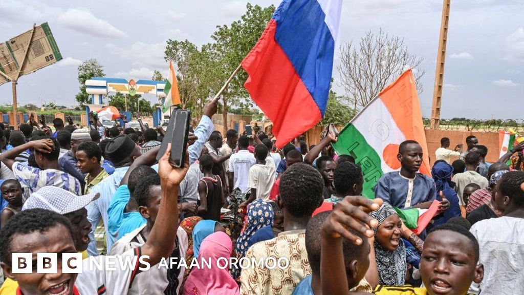 Raashiyaan dhimma Nijeer irratti gidduseentummaa waraanaa ECOWAS ...