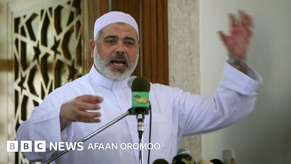 Hogganaa olaanaan Hamaas Iraan keessatti ajjeefaman - BBC News Afaan Oromoo