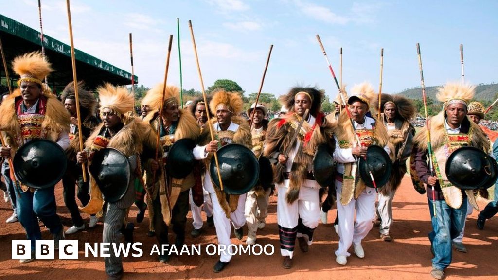Irreechi Tulluu kabajamaa jira - BBC News Afaan Oromoo