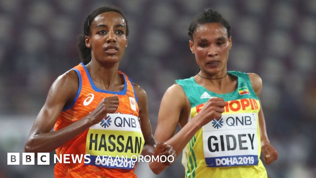 Olompikii Tookiyoo: Lattasanbat Gidayiifi Siifan Hasan keessaa ...