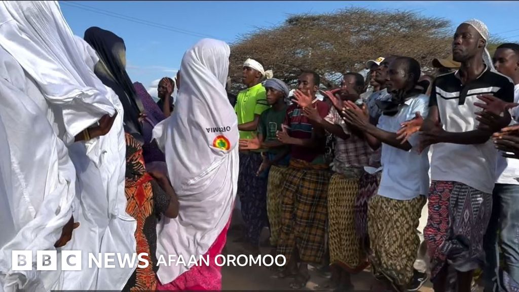 Ineessee: Sirba aadaa qeerroofi qarree - BBC News Afaan Oromoo
