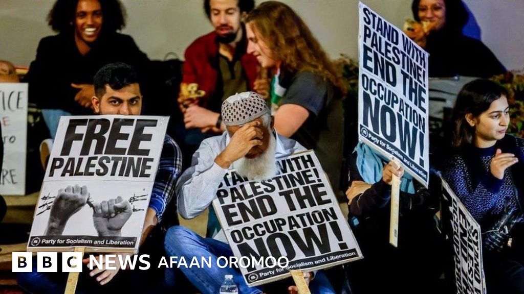 Imbasii Israa’eel, Ameerikaa jiru fulduratti mormiitoota keessa tokko ...