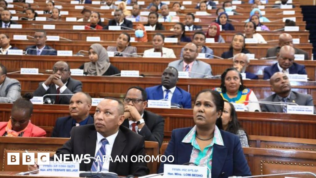 Murtee TPLF tarree shorkeessummaa jalaa baasuu: Deeggarsaafi mormii ...