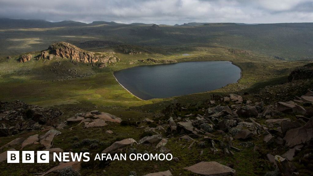 Paarkiin Gaarreen Baalee hambaa uumamaa UNESCOtti galmaa'e - BBC News ...