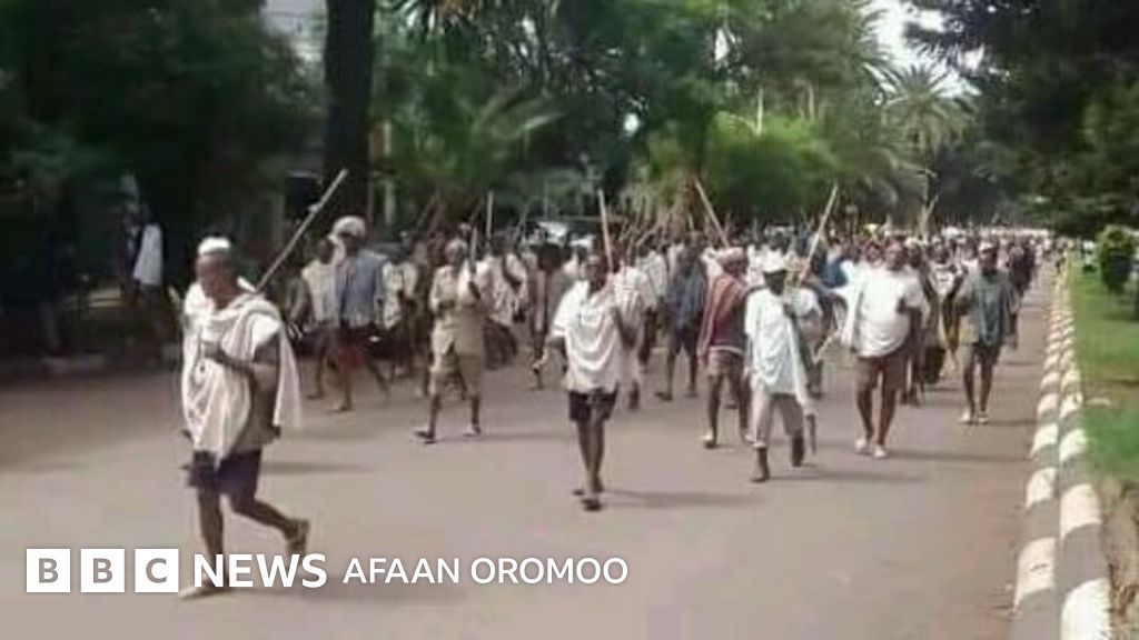 Qotee bultootni naannoo Amaaraa hanqina calla guddistuuf hiriira mormii ...