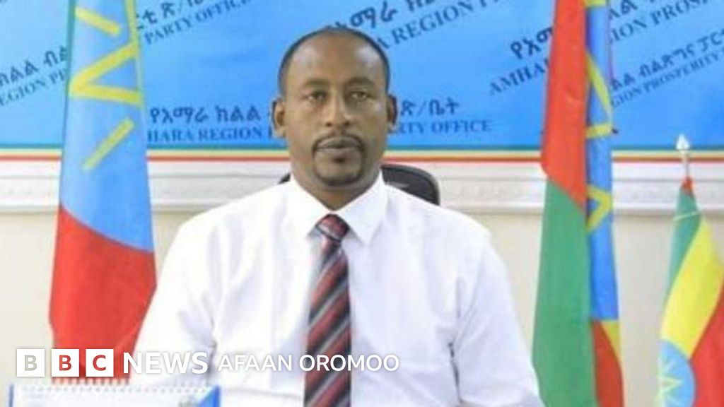 Naannoo Amaaraatti aanga'aa Paartii Badhaadhinaa dabalate namoonni shan ...