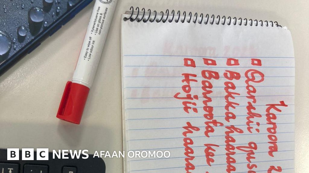 Waan waggaa haaraa irratti karoorsitan fiixaan baasuu maalii akka ...