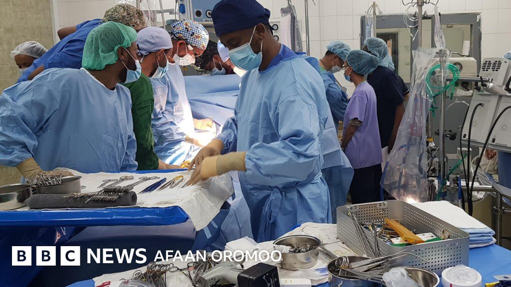 'Hospitaalonni Finfinnee Afaan Oromoo wallaaluun dhukkubsattoota balaa ...