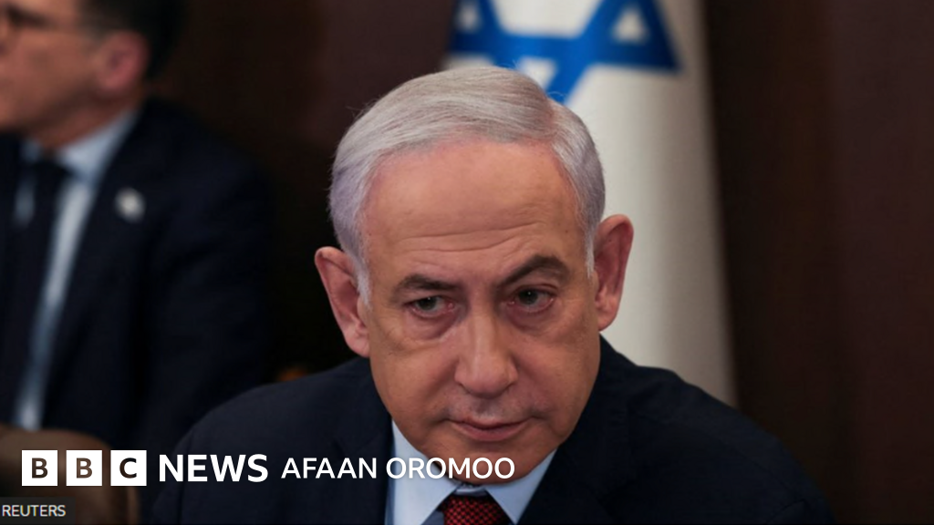 Shororkeessitootni Hamaas hedduun qawwee hiikkachuun harka kennachaa ...