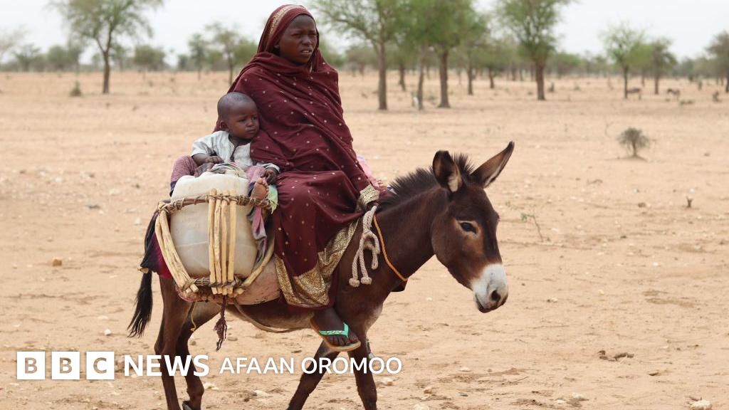 Lakkoofsi namootaa waraana Sudaan baqachuun daangaa Itoophiyaa seenanii ...