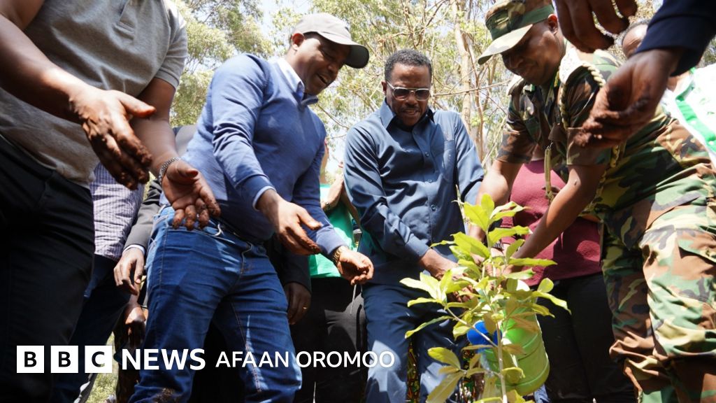 'Keeniyaatti biqiltuu qofa osoo hin taane obbolummaa dhaabuuf dhufne ...