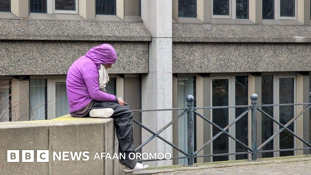 Jimmatti poolisiin shamarree dhimma nageenyaan shakkamuun hidhaarra ...