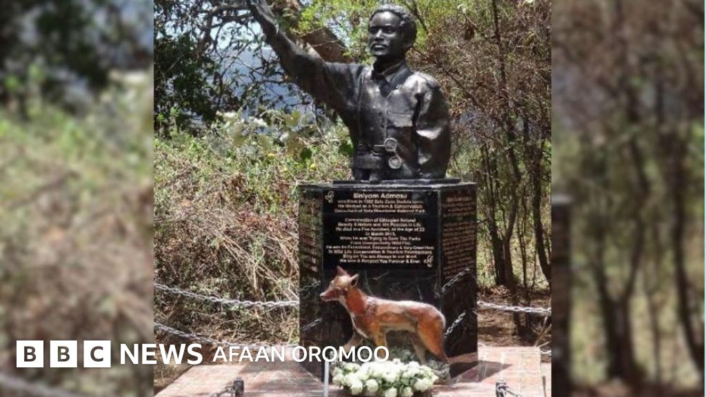 Warra ofii gubatee gubannaa oolchetu Paarkii Gaarreen Baalee ...