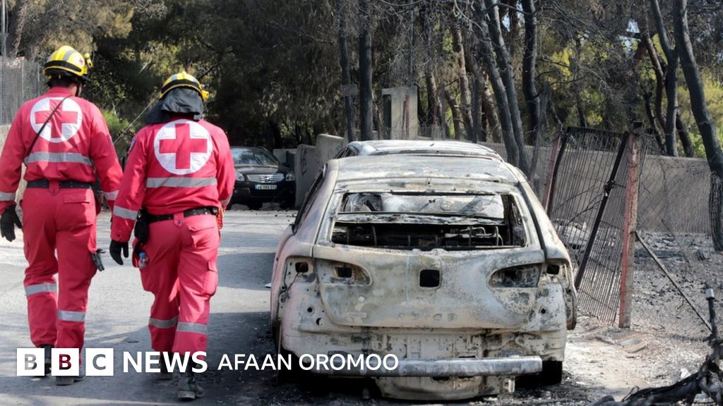 Ibidda saafaa Giriikii: Erga namootni 74 du'anii barbaachi itti ...