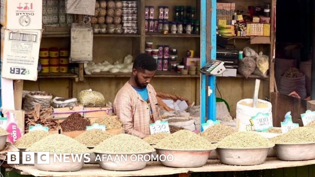 Aangoon aanaalee magaala Finfinnee daldaltoota irratti akka tarkaanfii ...