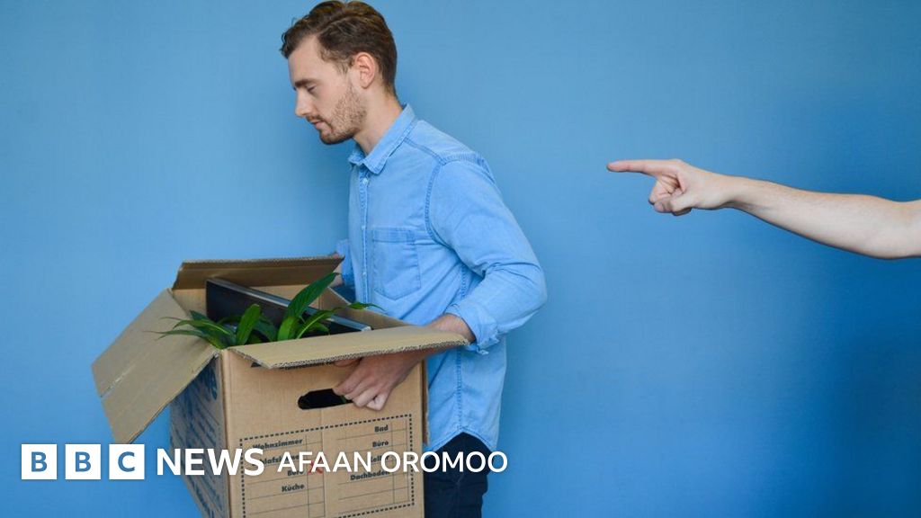 Hubannoon nam-tolchee (AI) hojii namoota miliyoona 300 bakka bu'ee ...