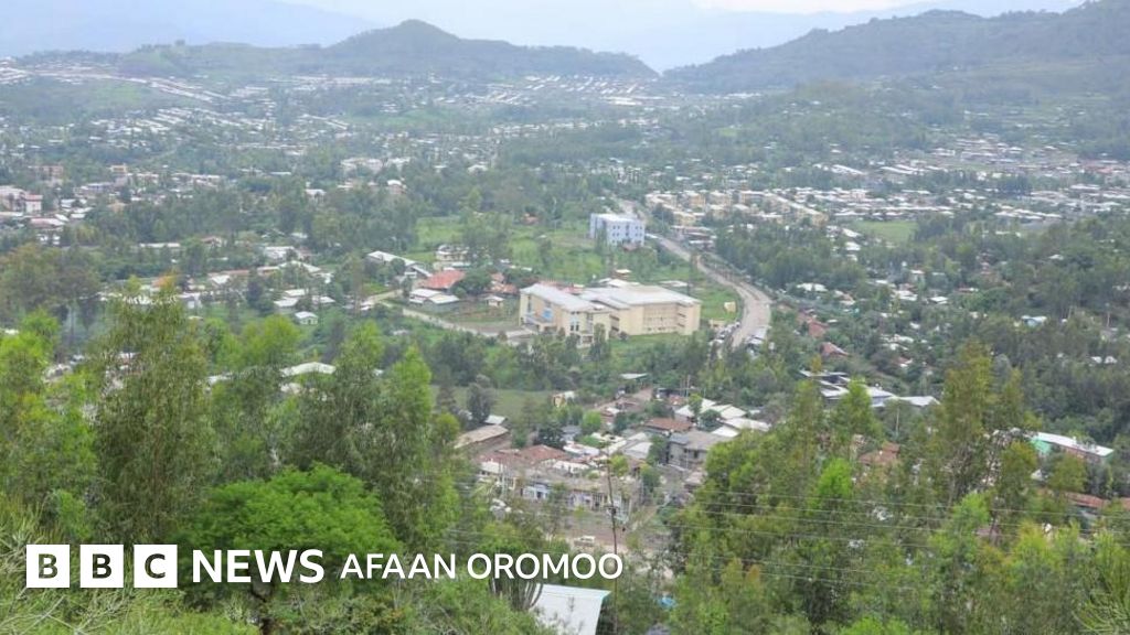 Naannoo Amaaraa: Waldiyaatti buufati poolisii haleelamee 'poolisoonni ...