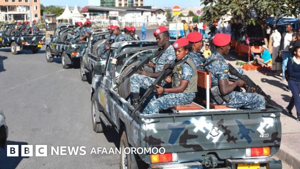 Labsii Yeroo muddamaa naannoo Amaaraatti hojiirra oolu irraa maaltu ...