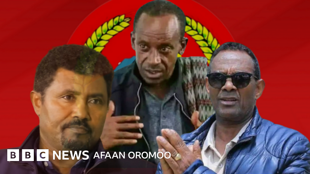 Getaachoo Raddaa ajajoota TDF sadii hojiirraa dhorke - BBC News Afaan ...