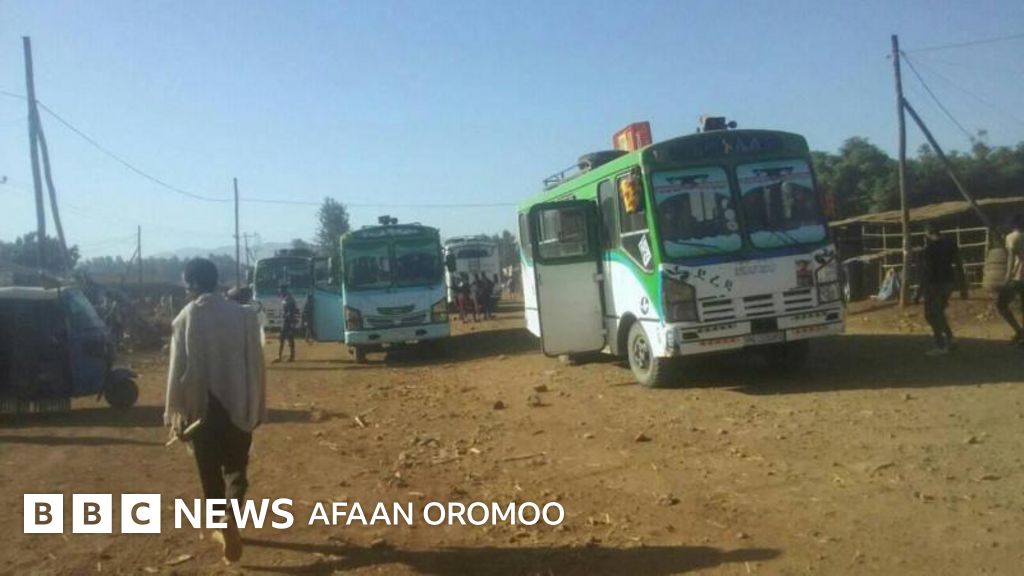 Godiina Goojjaam Kaabaatti haleellaa diroonii fi kaaniin namoonni ...
