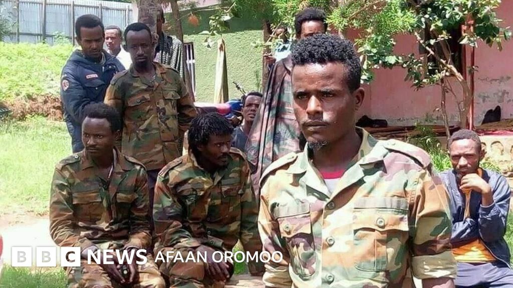 Hidhattoota WBO Godinoota Gujii Fi Gujii Lixaa: "Uummati adamoo godhee ...