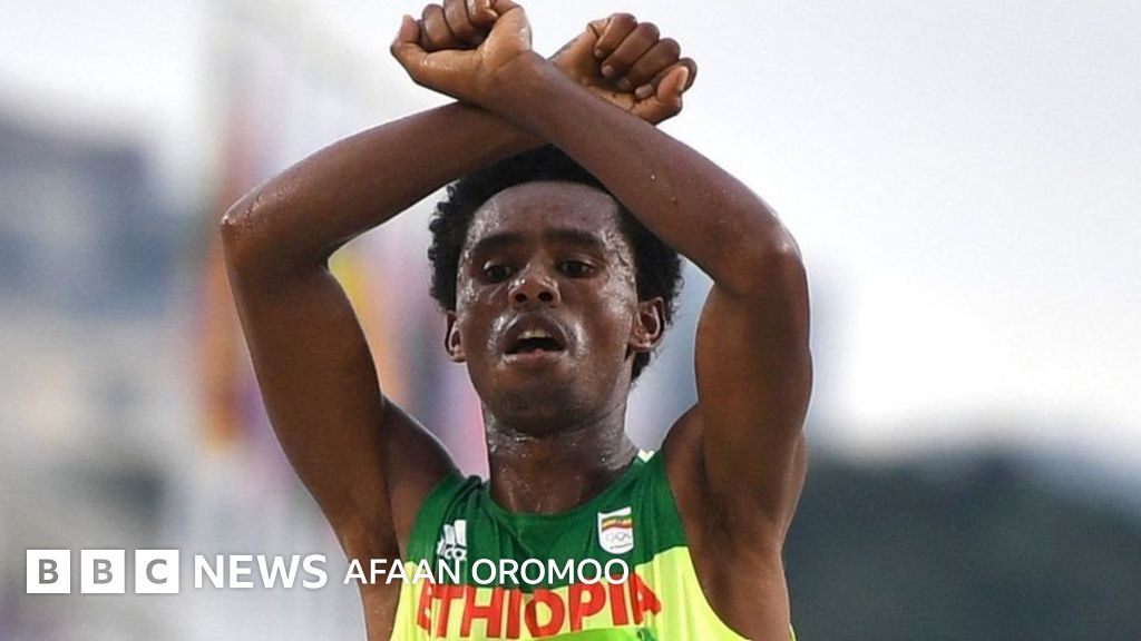 Xiinxala Kitaabaa: 'Yeroo sirrii itti dhalatan - Odeessa Fayyisaa Leellisaa' - BBC News Afaan Oromoo
