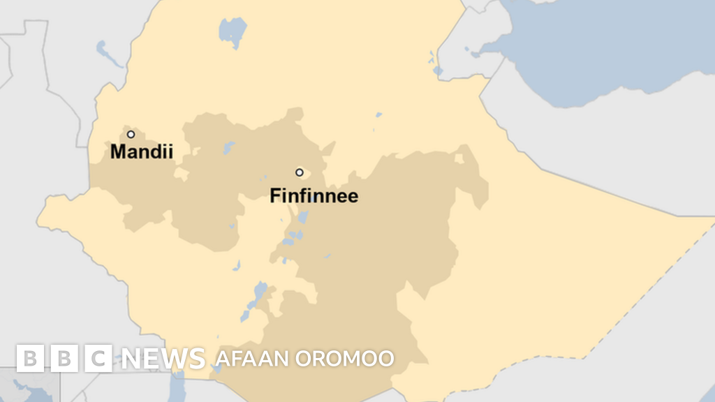 Bulchaa Godina Wallagga Lixaa: 'Lammiileen Chaayinaa sadii ...