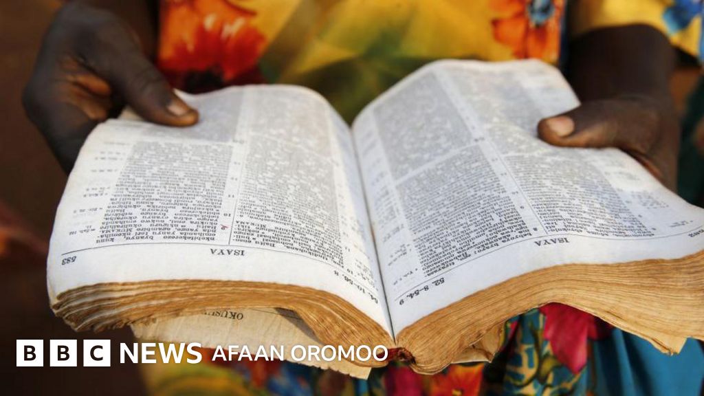 Lammileen Yugaandaa biyya isaaniitii badanii Itoophiyaatti argamanii ...