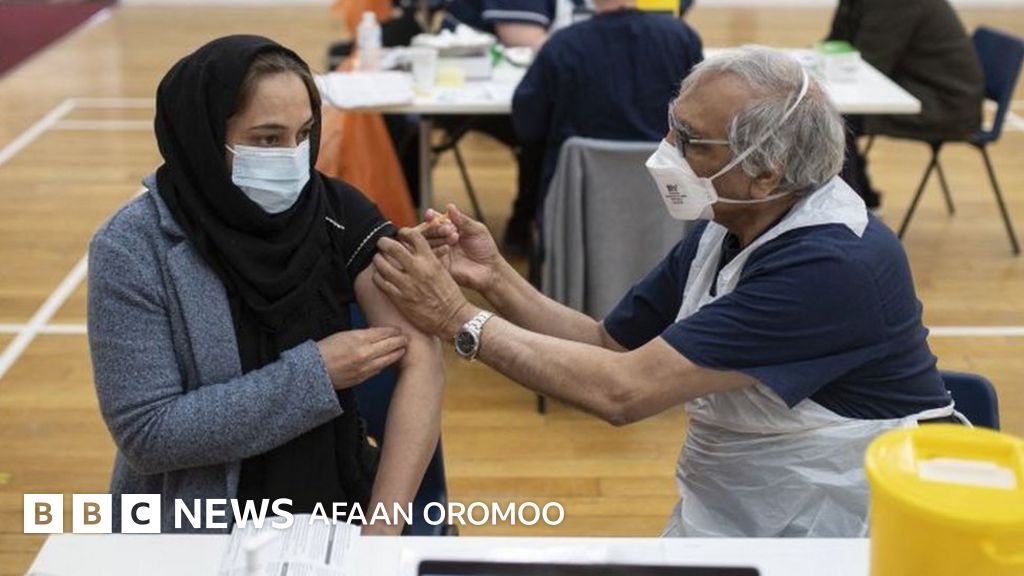 Ji'a Ramadaanaa keessa muslimoonni talaallii Covid-19 fudhachuu danda'uu? - BBC News Afaan Oromoo