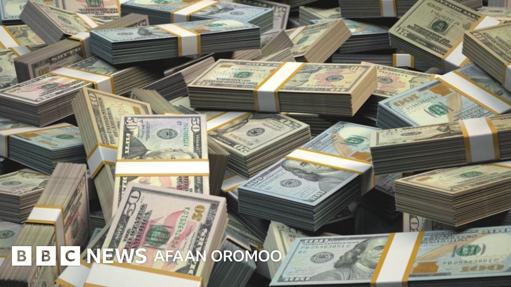 Ministirri hojjettoonni manaa dolaara miiliyoona tokko manasheetii ...