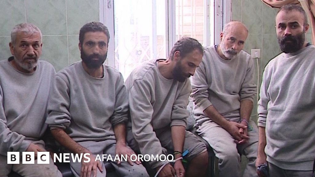 Waraana Israa'el-Gaazaa: Filisxeemoonni jaha wayita mana hidhaa Israa ...