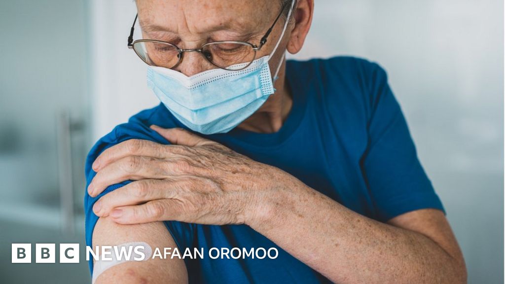 Talaallii Covid-19: Miidhaa maddee mataa bowwoofi dhukkubbiin irree hedduminaan mul’atu - BBC ...