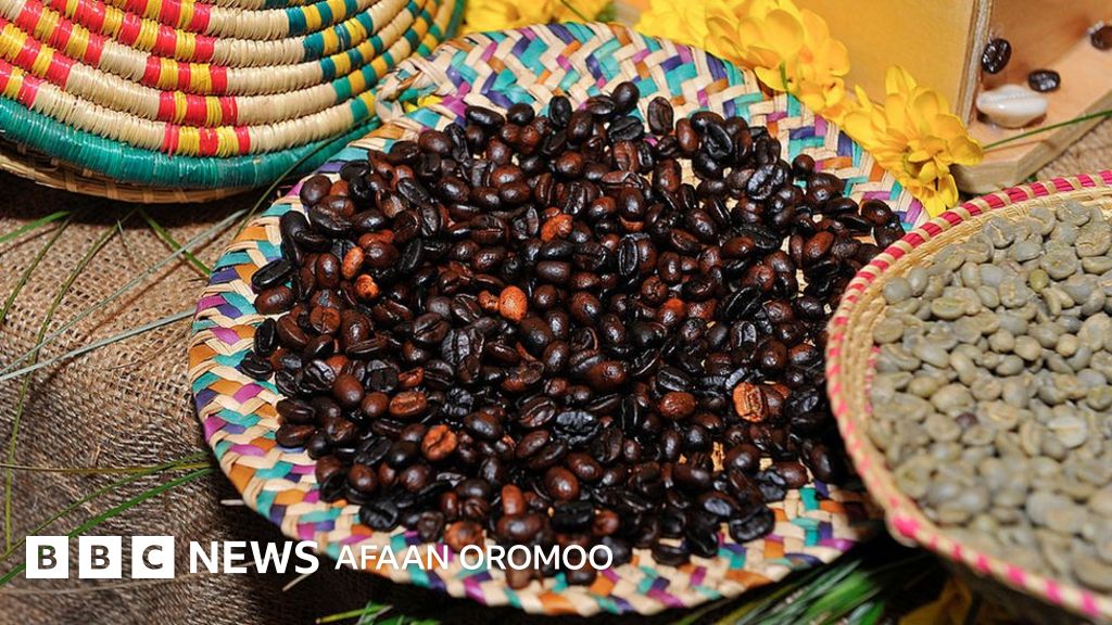 Koronaavaayiras: Sababa weerara Covid-19n gabaan bunaa dabalaa jira ...