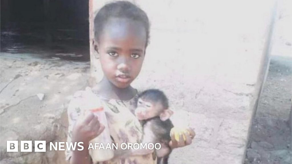 Jaalalli daa'imaafi jaldeessa hongeen haadha dhabee, namoota hedduu ...