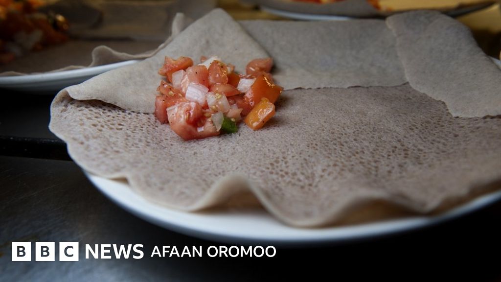 Buddeenni wanta araada nama qabsiisu of keessaa qabaa? - BBC News Afaan ...