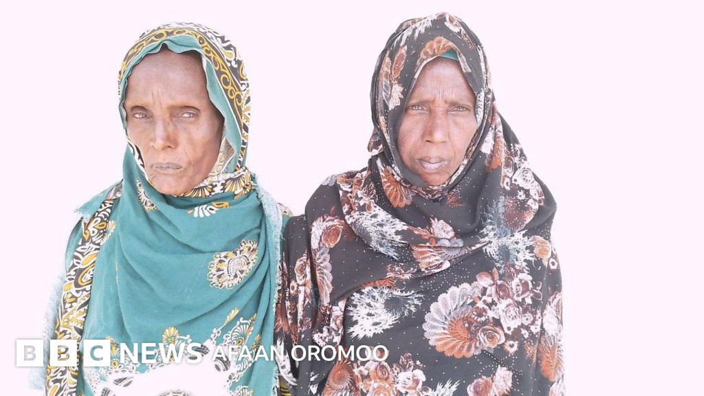 Shamarran 'fedhiin nu kittaanaa' jedhaniif hawwan akkamiin adabaman ...