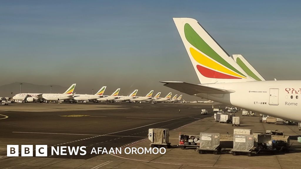 Daandiin Qilleensaa Itoophiyaa qooda daandiiwwan qilleensaa Afrikaa ...