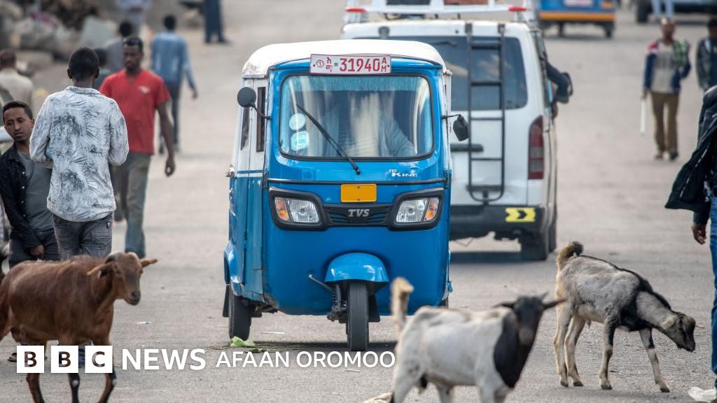 Walitti bu'insa naannoo Amaaraatiin aanga'aan mootummaa ajjeeffamu KMNI ...