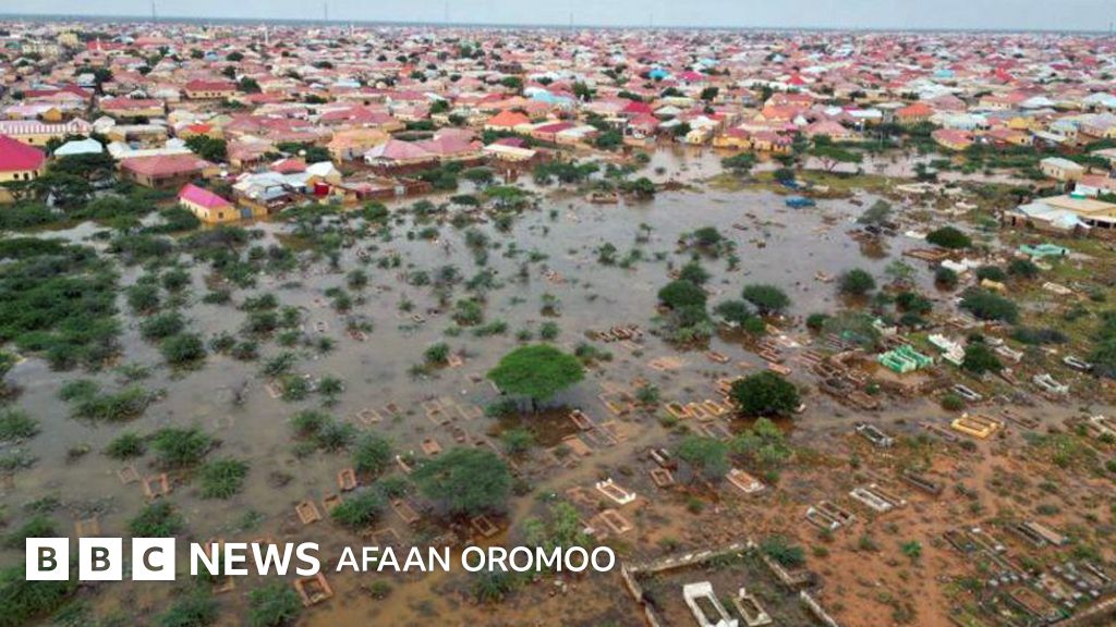 Lolaa Somaaliyaa: ‘Reeffa lafa keessaa baasee karaatti yaase, riqichas ...