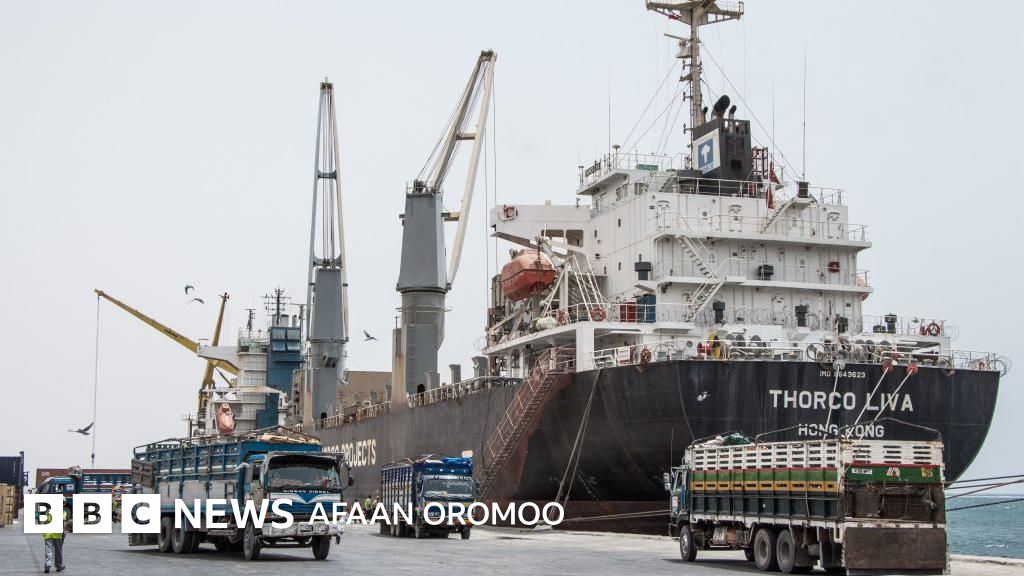 Barbaraan biyyoota Sahaaraa gadii keessatti buufata doonii isa ...