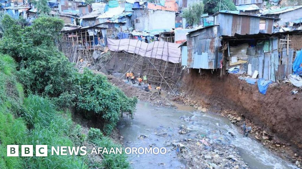 Magaala Finfinneefi naannawasheetti Adoolessa qofatti namoonni sagal ...