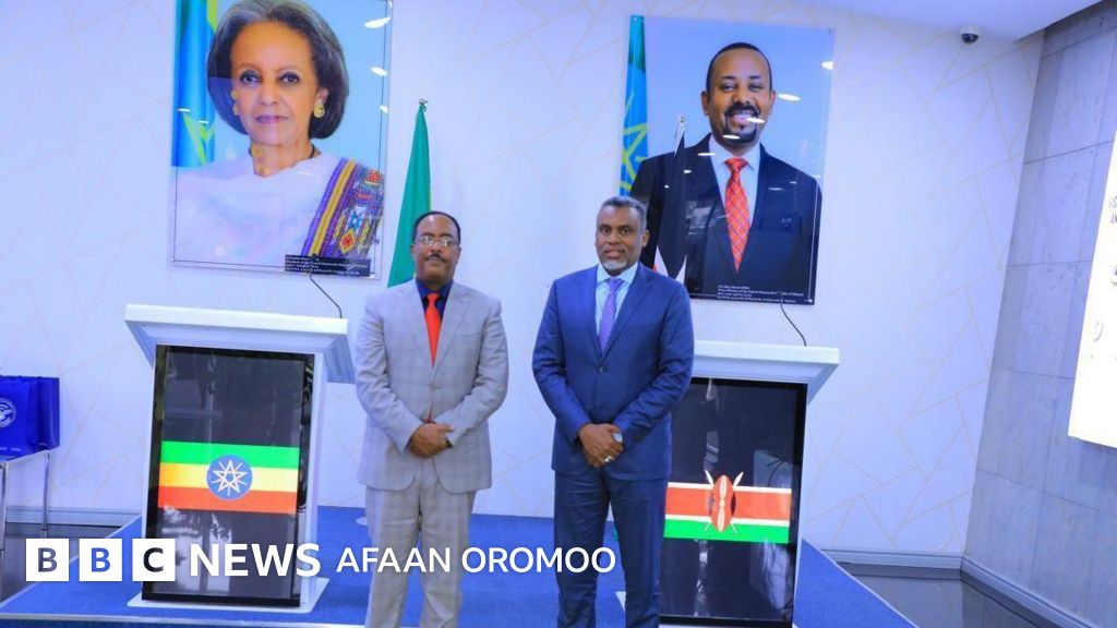 Itoophiyaan WBO lammiilee biyya alaa bute jechuun himatte, Waraanichi ...
