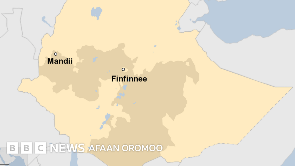 Hidhattoonni Waraana Bilisummaa Oromoo lammiilee Chaayinaa sadii 'to ...