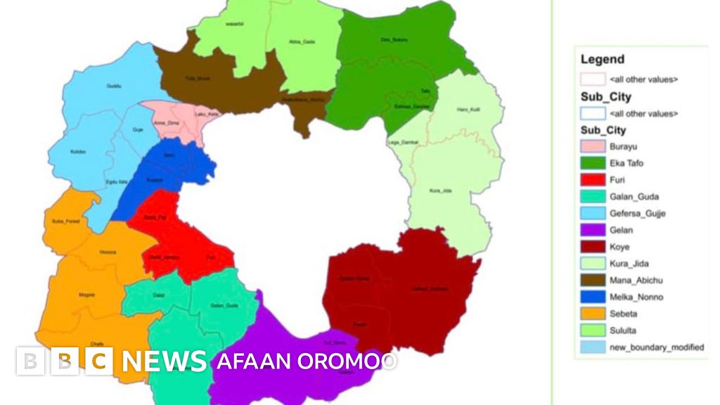 Kaayyoo hundeeffama 'Magaalaa Shaggar' fi gaaffii irratti ka'aa jiru ...