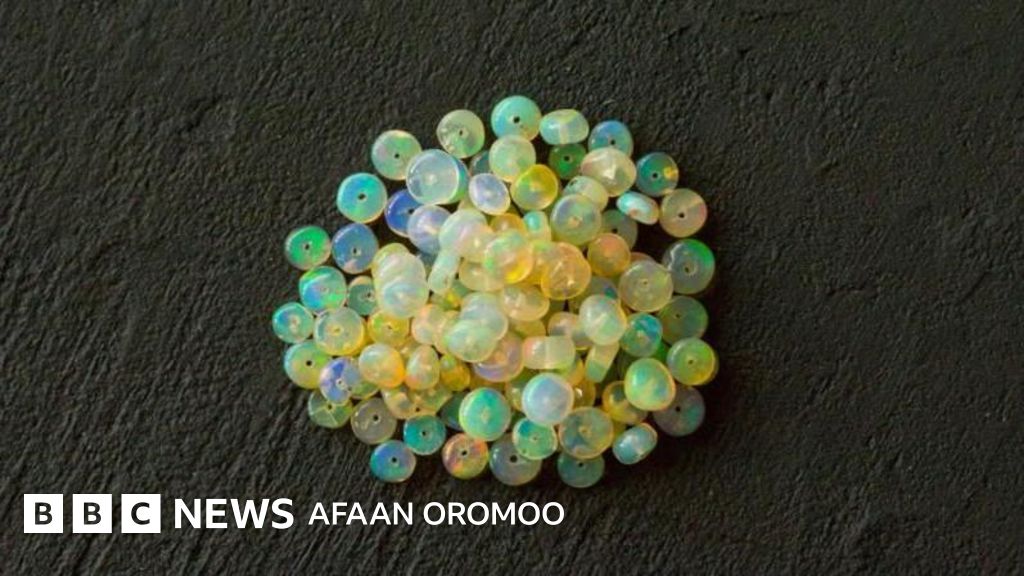 Walloo Kibbaatti namoonni albuuda osoo baasanii lafti irratti jige ...