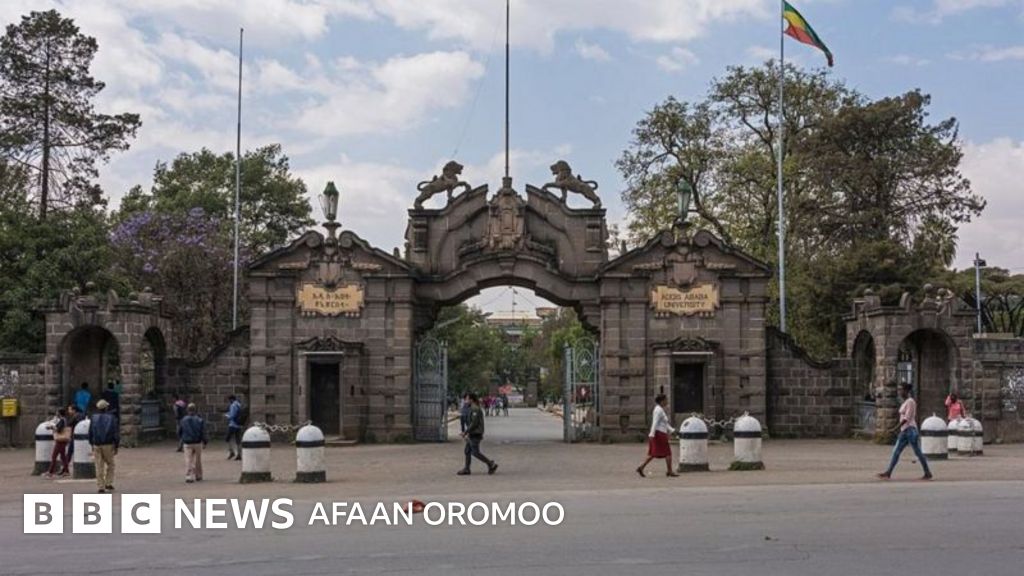 Yunivarsitiin Finfinnee barattoota wal dorgomsiisee malee rammaddiin ...