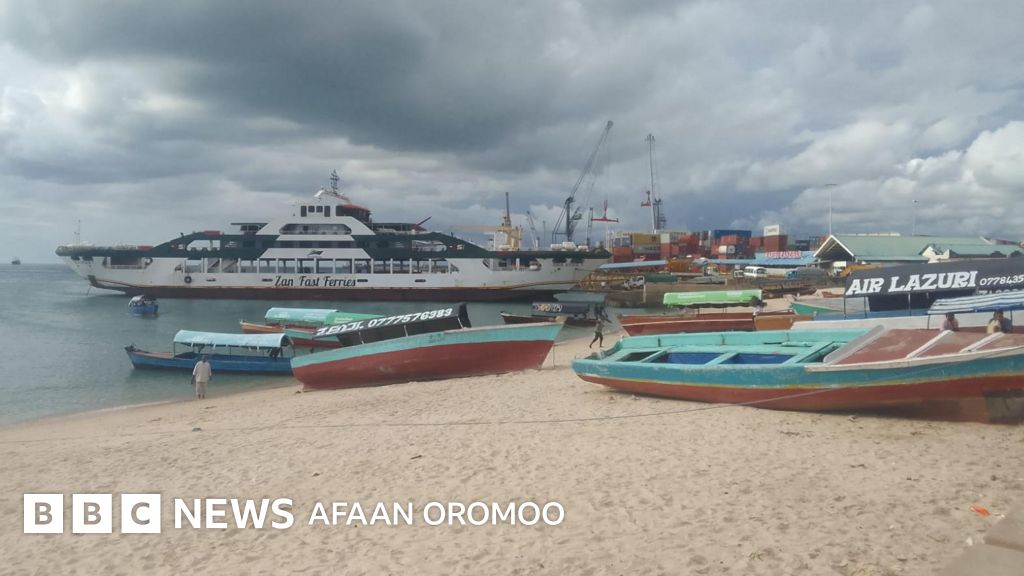Dur wiirtuu daldala garbaa, amma bakka marii nagaa: Odola zaanzibaar ...